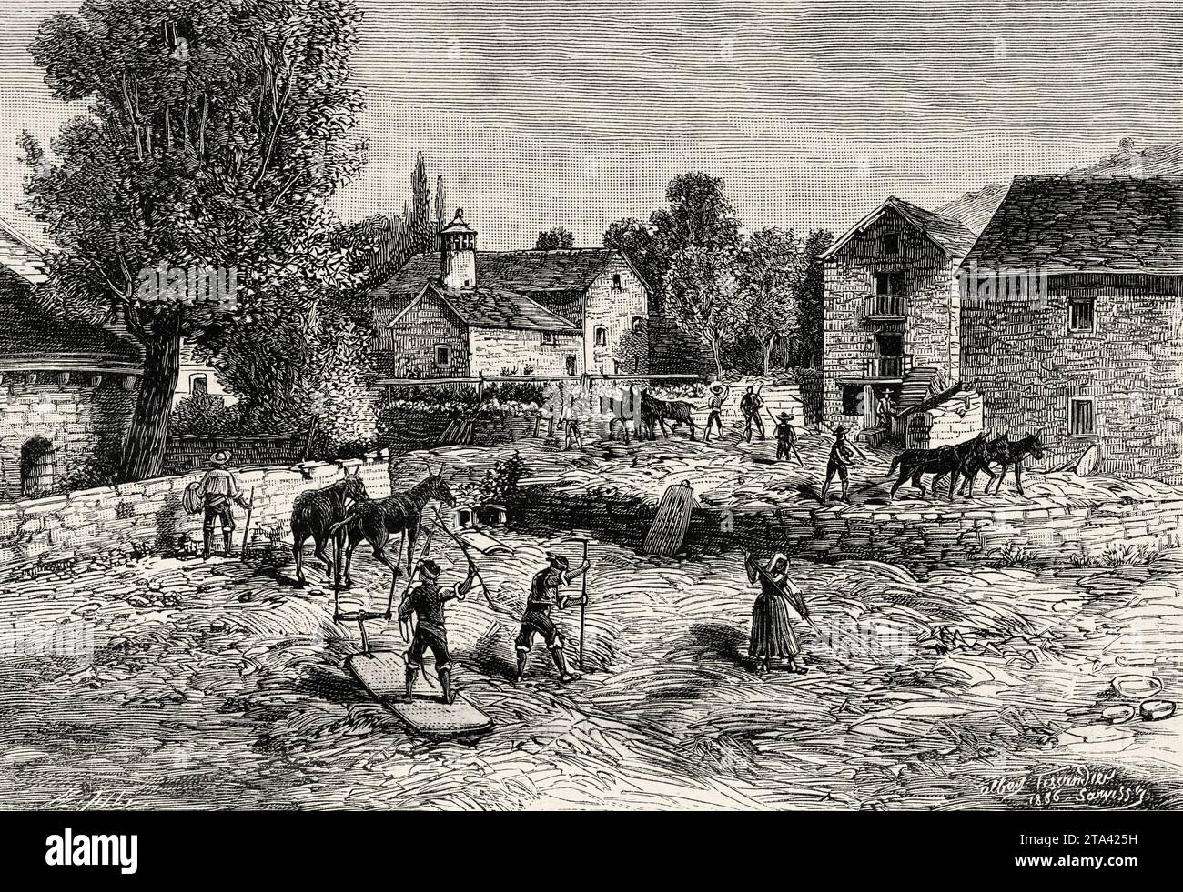 Traditional cereal threshing scene in an agricultural village in Aragon ...