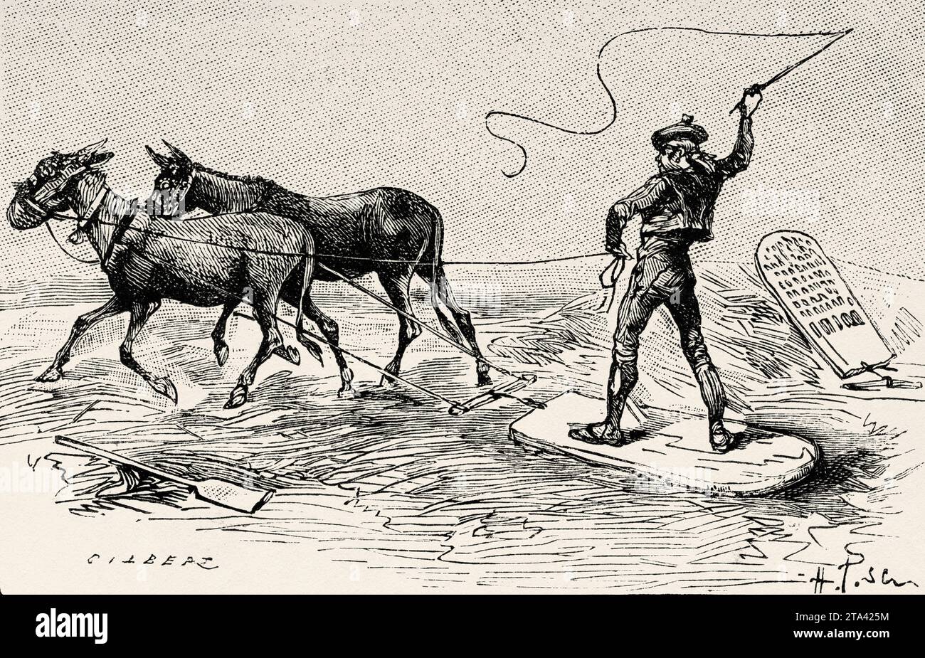 Traditional threshing wheel pulled by two mules, typical of Spanish ...