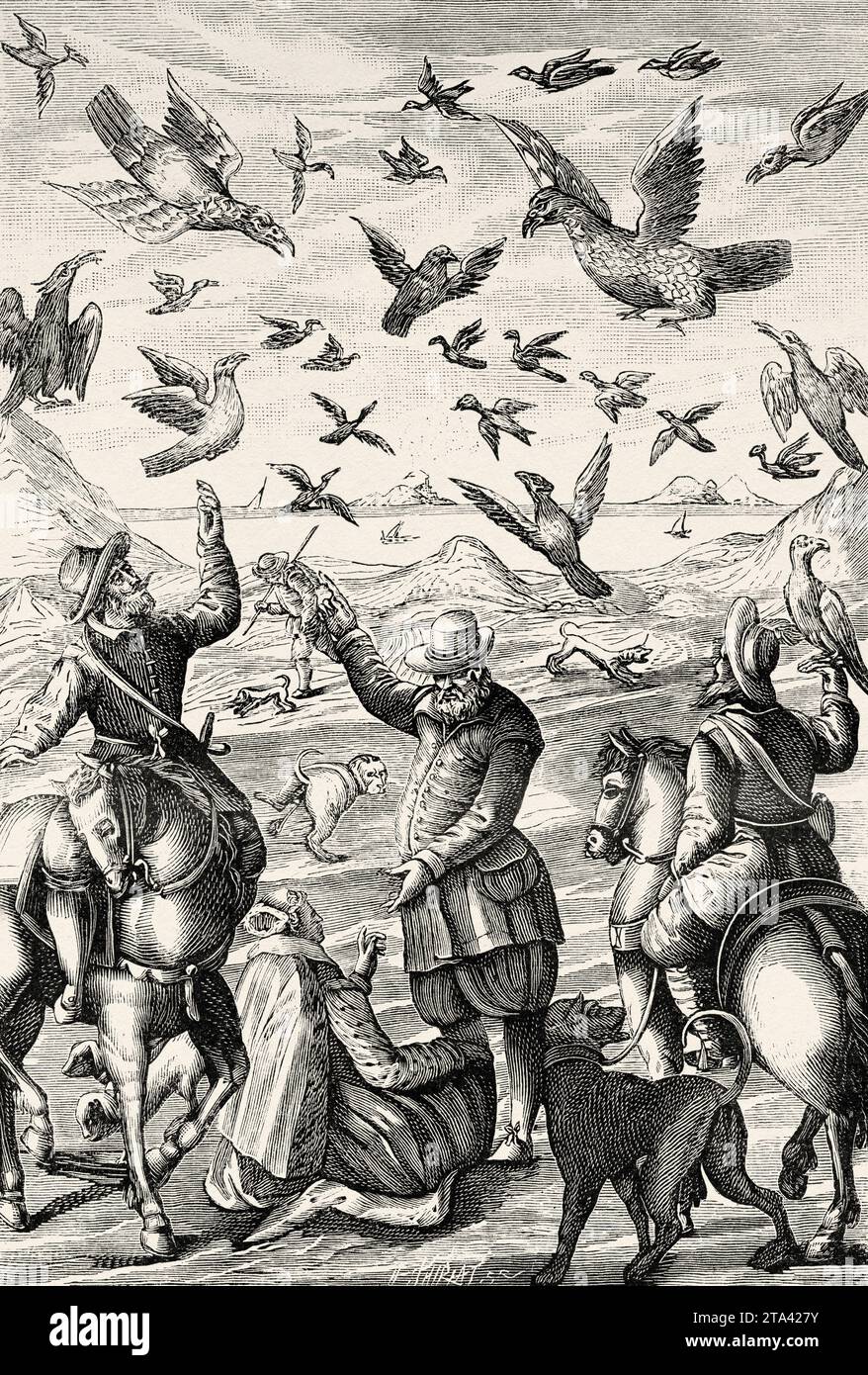Falcon hunting in 1630. Old illustration from La Nature 1887 Stock ...