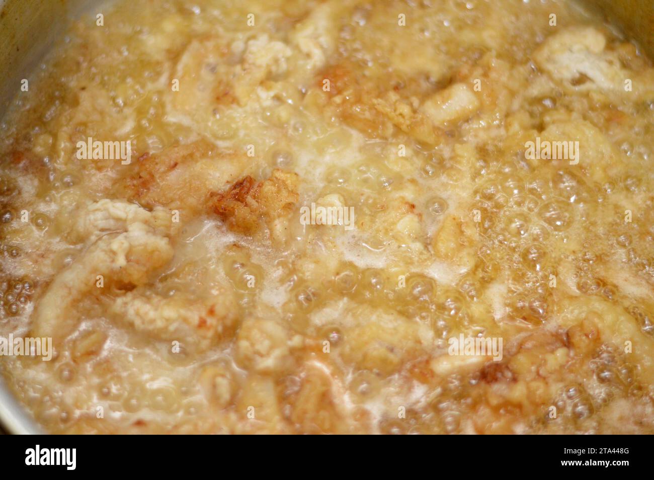 fried squid, a mollusc with an elongated soft body, large eyes, eight ...