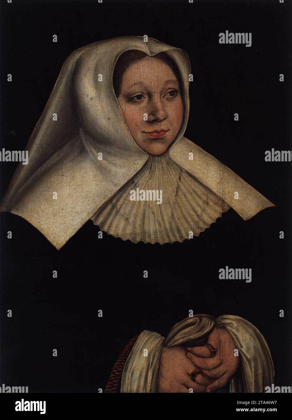 Portrait of Margaret of Austria 1520s by Lucas The Elder Cranach Stock ...
