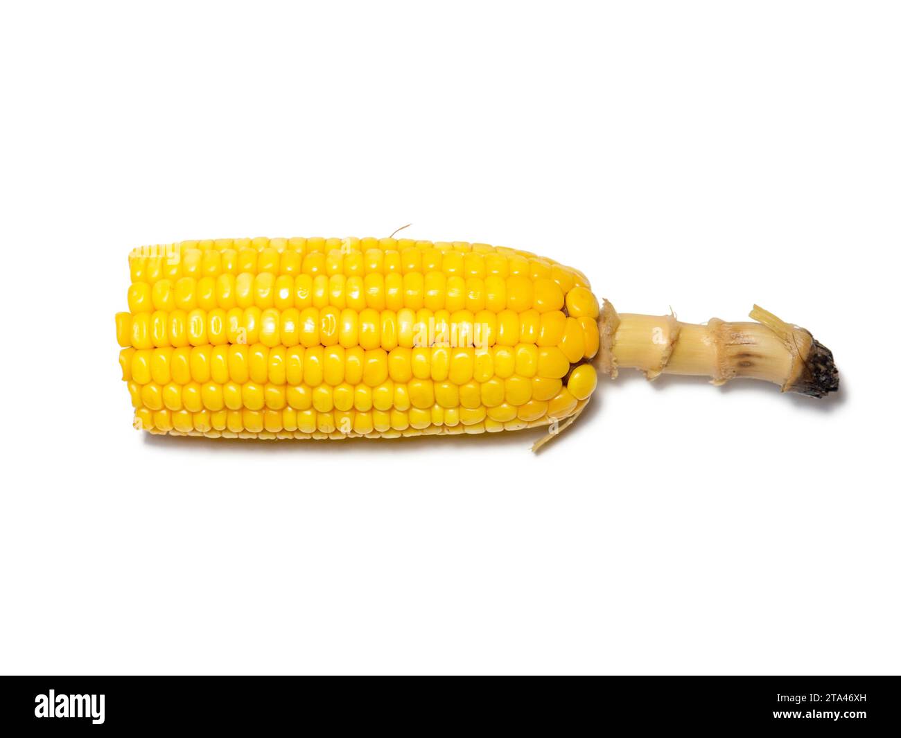 Half of boiled corn on a white background. Half a cob. Yellow grains ...