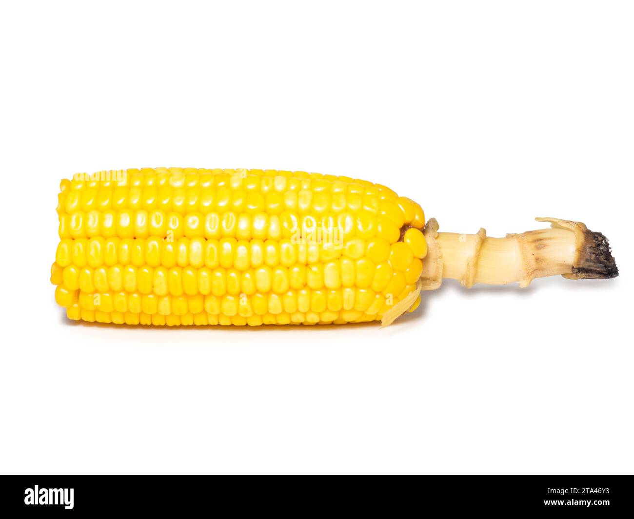 Half of boiled corn on a white background. Half a cob. Yellow grains ...