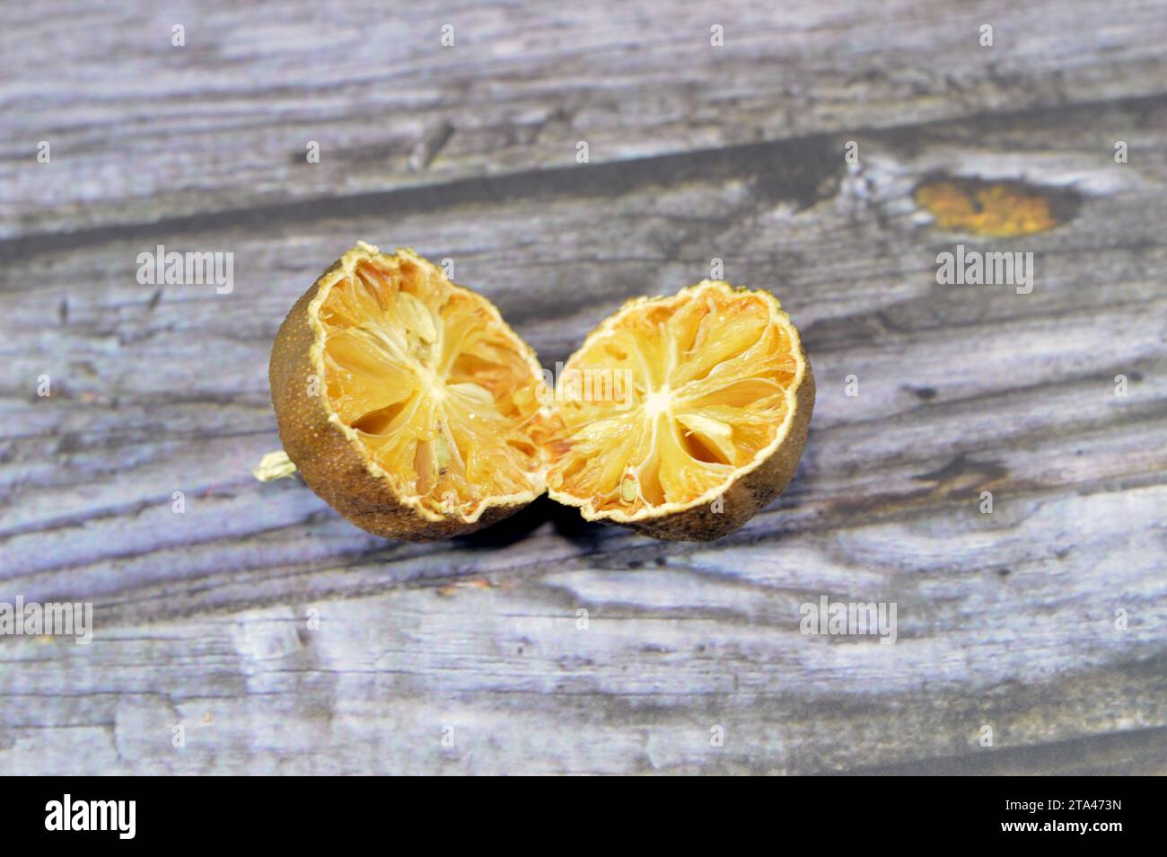 Lemon with mold, mould is one of the structures that certain fungi can ...