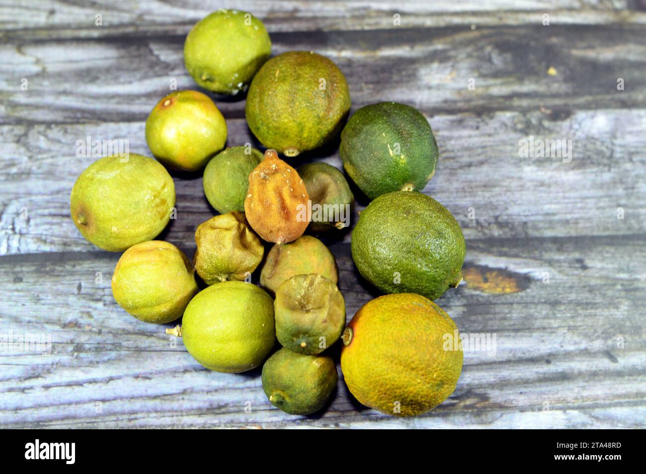 Lemon with mold, mould is one of the structures that certain fungi can ...