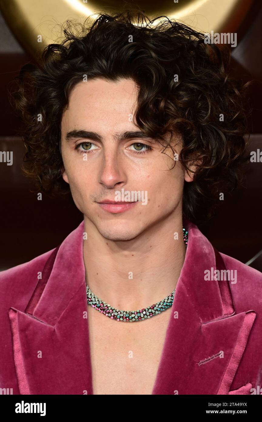 London, UK. 28th Nov, 2023. Timothee Chalamet attends the Warner Bros ...