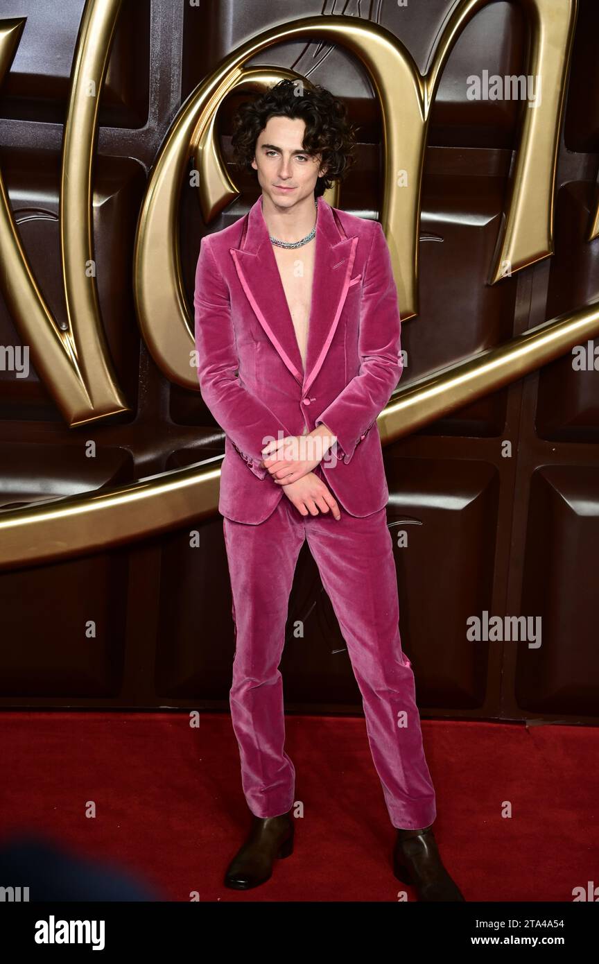 London, UK. 28th Nov, 2023. Timothee Chalamet attends the Warner Bros ...