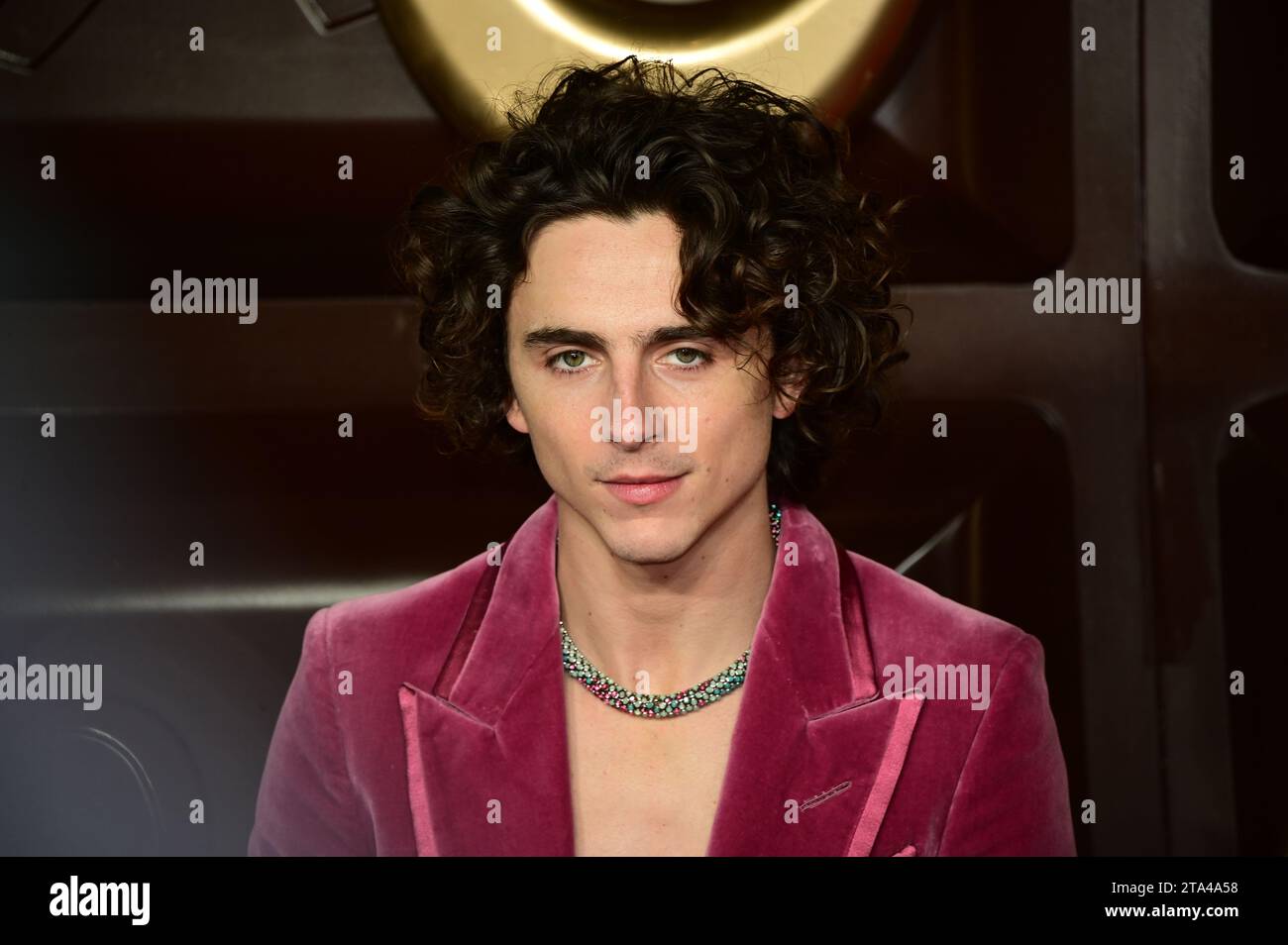 London, UK. 28th Nov, 2023. Timothee Chalamet attends the Warner Bros ...
