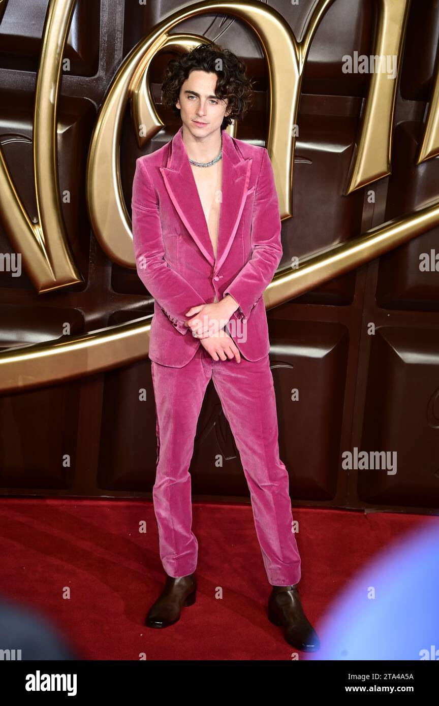 London, UK. 28th Nov, 2023. Timothee Chalamet attends the Warner Bros ...
