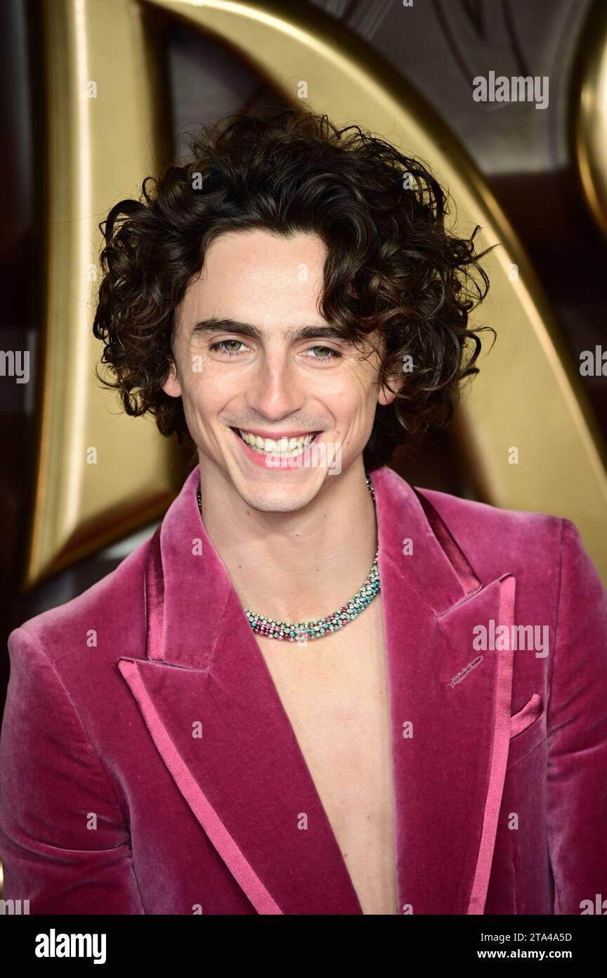 London, UK. 28th Nov, 2023. Timothee Chalamet attends the Warner Bros ...