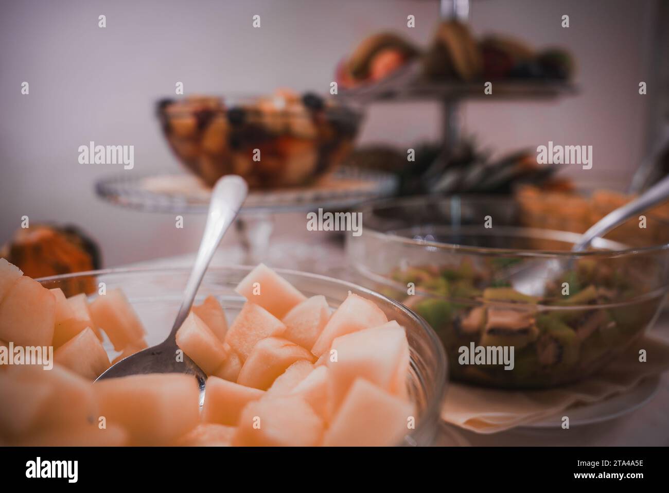 Sumptuous Venetian Buffet Spread with Assorted Cheeses, Melon, and ...