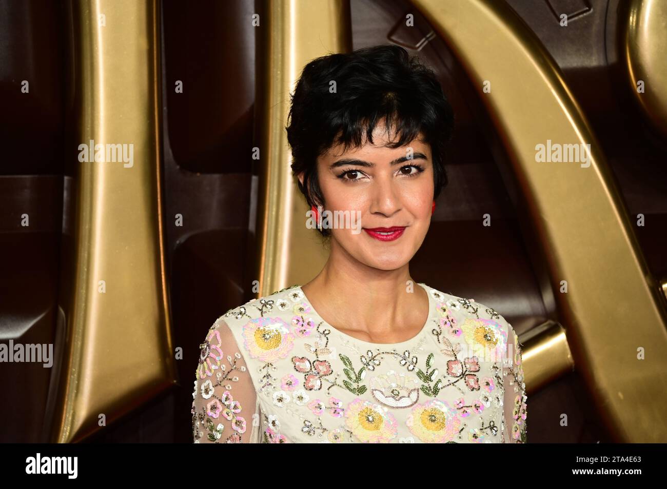 London, UK. 28th Nov, 2023. Rakhee Thakrar attends the Warner Bros ...