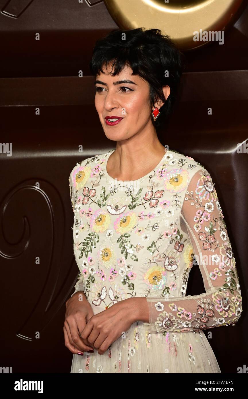 London, UK. 28th Nov, 2023. Rakhee Thakrar attends the Warner Bros ...