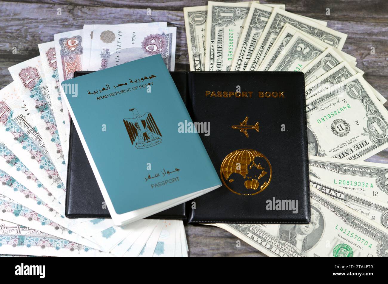 Egyptian passport black book, Translation of Arabic words (Arab ...