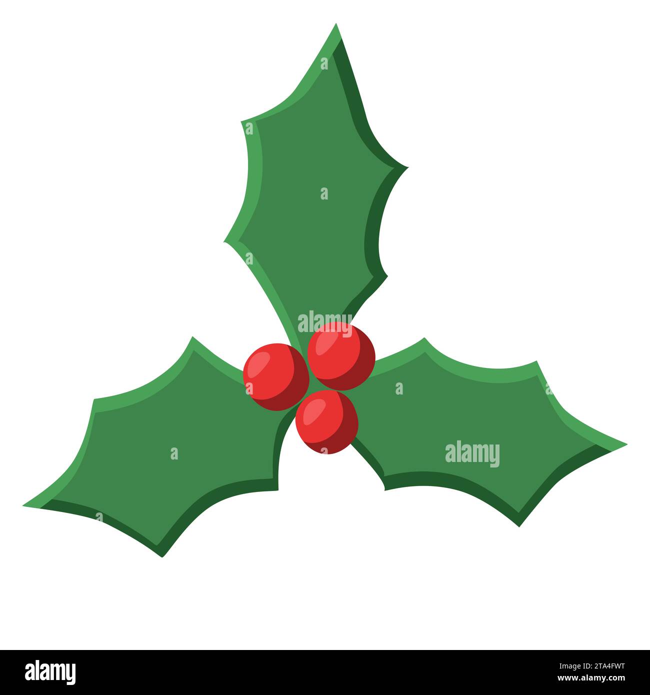 Three holly leaves with berries, winter holidays design element, vector ...