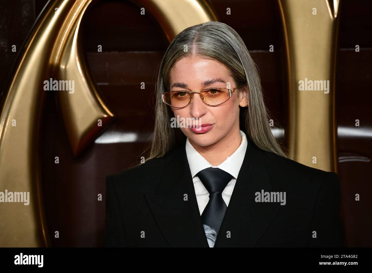 London, UK. 28th Nov, 2023. Warner Bros. Pictures Presents - The World ...