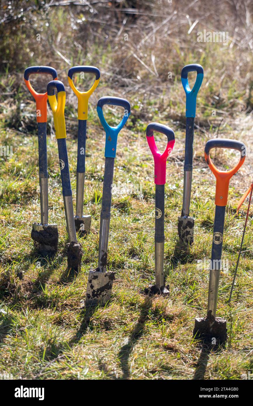 Forestry Tools Nz