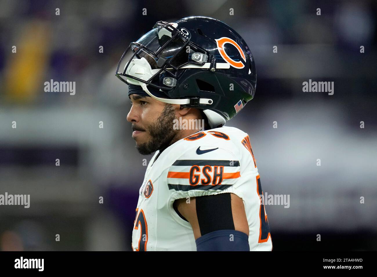 Chicago Bears linebacker T.J. Edwards (53) stands on the field before ...