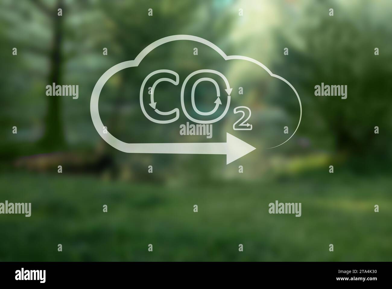 Concept of clear air. CO2 inscription in illustration of cloud with ...