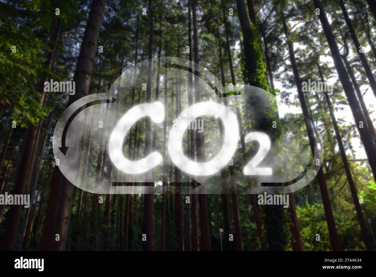 Concept of clear air. CO2 inscription in illustration of cloud with ...