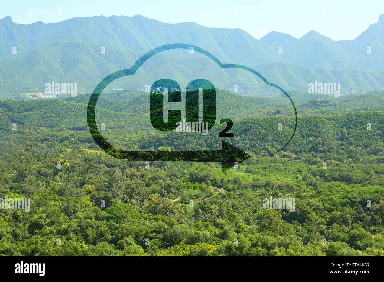 Concept of clear air. CO2 inscription in illustration of cloud with ...