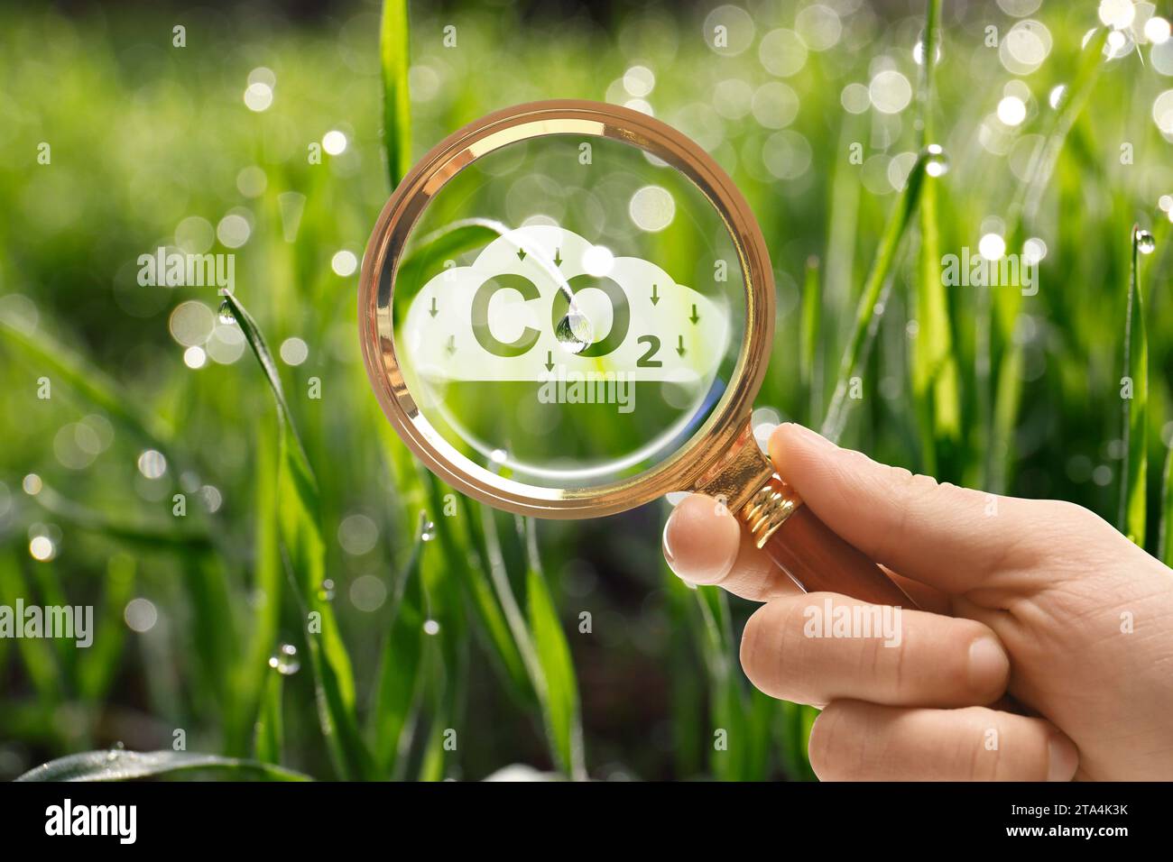 Reduce CO2 emissions. Woman demonstrating CO2 inscription through ...