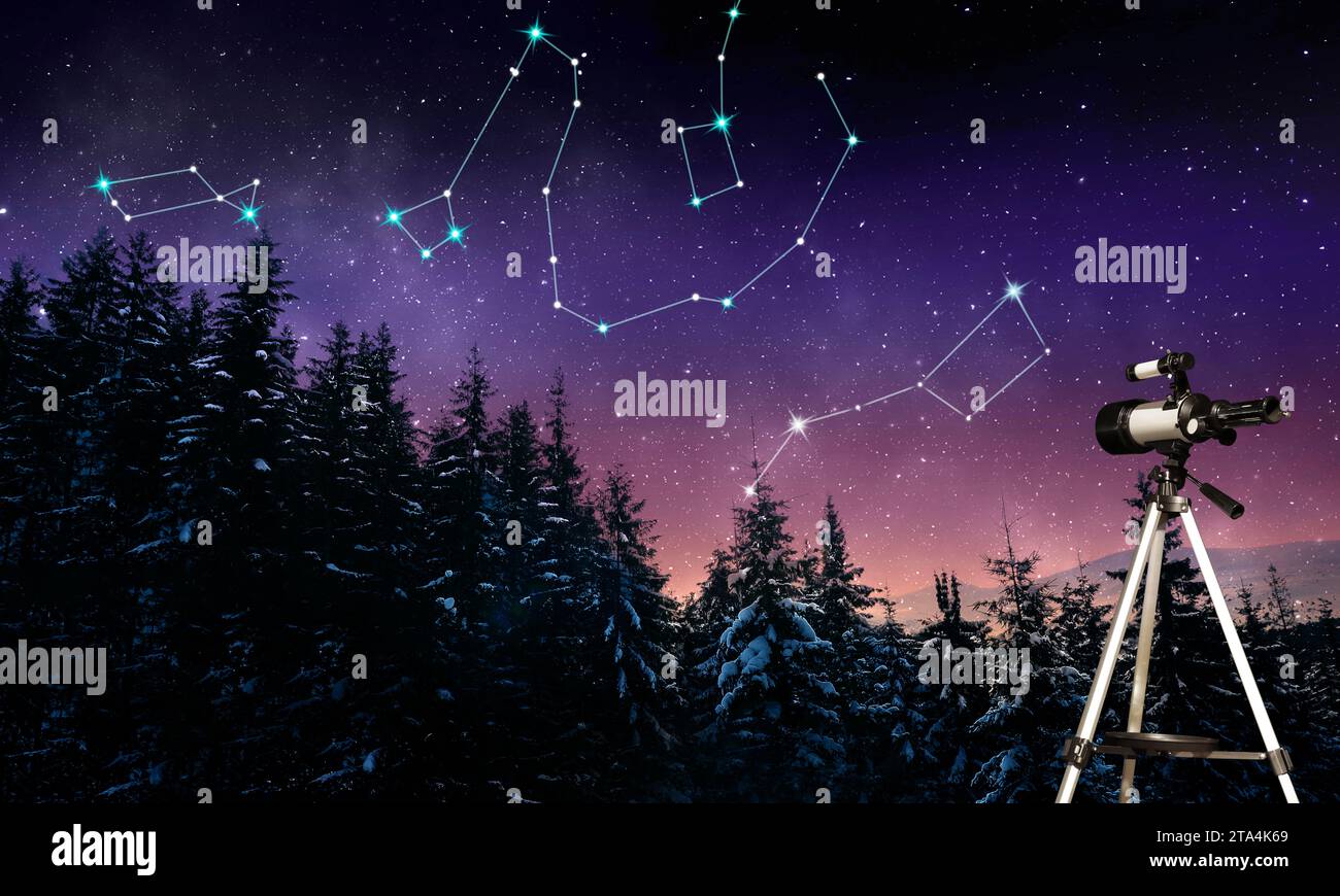 Different constellations in starry sky over conifer forest at night ...