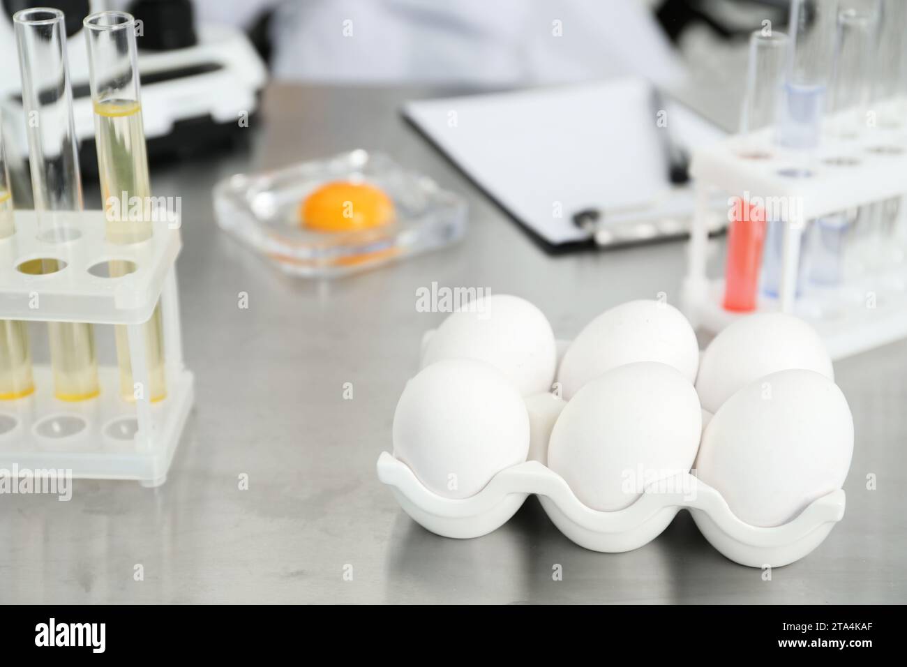Fresh eggs on table in laboratory. Food quality control Stock Photo - Alamy