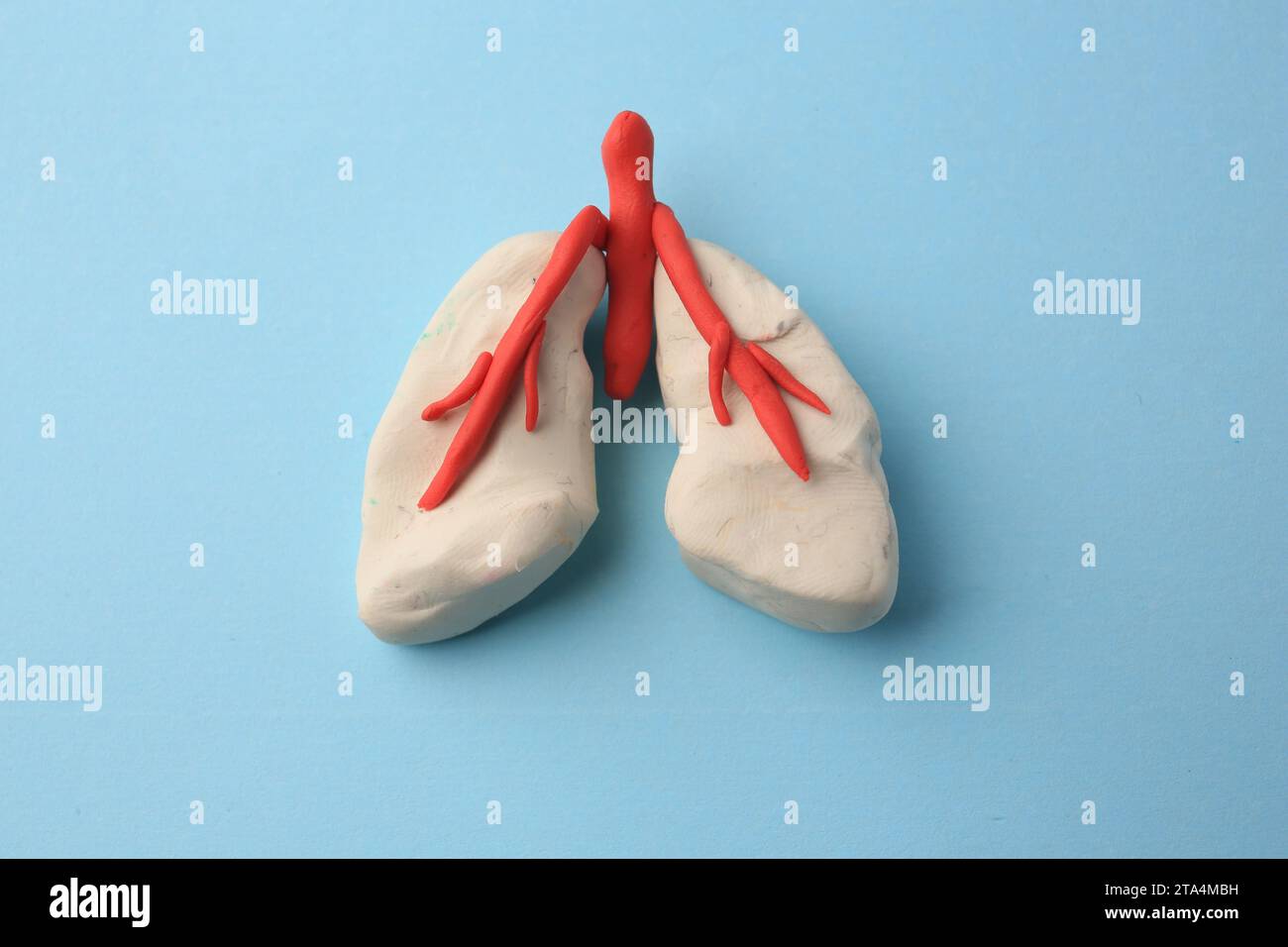 Human lungs made of plasticine on light blue background, closeup Stock ...