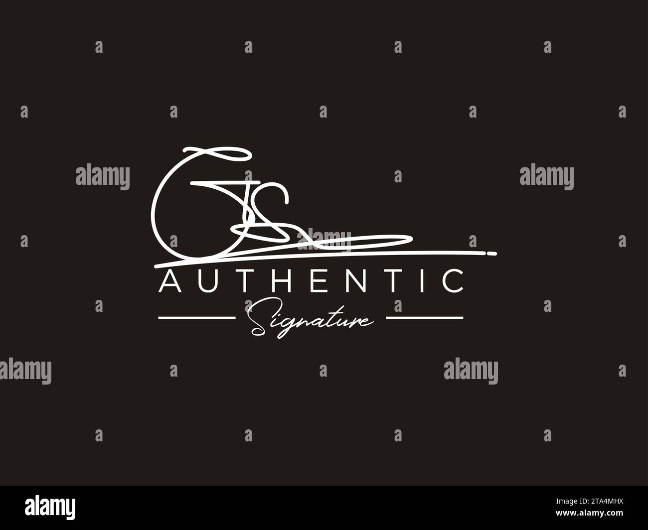 Gs icon vector vectors hi-res stock photography and images - Alamy