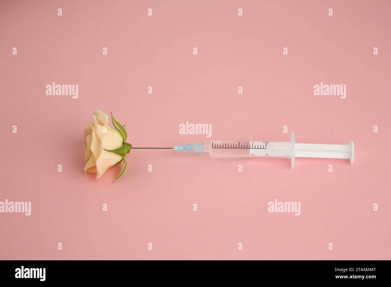 Medical syringe and beautiful rose on light pink background, above view ...