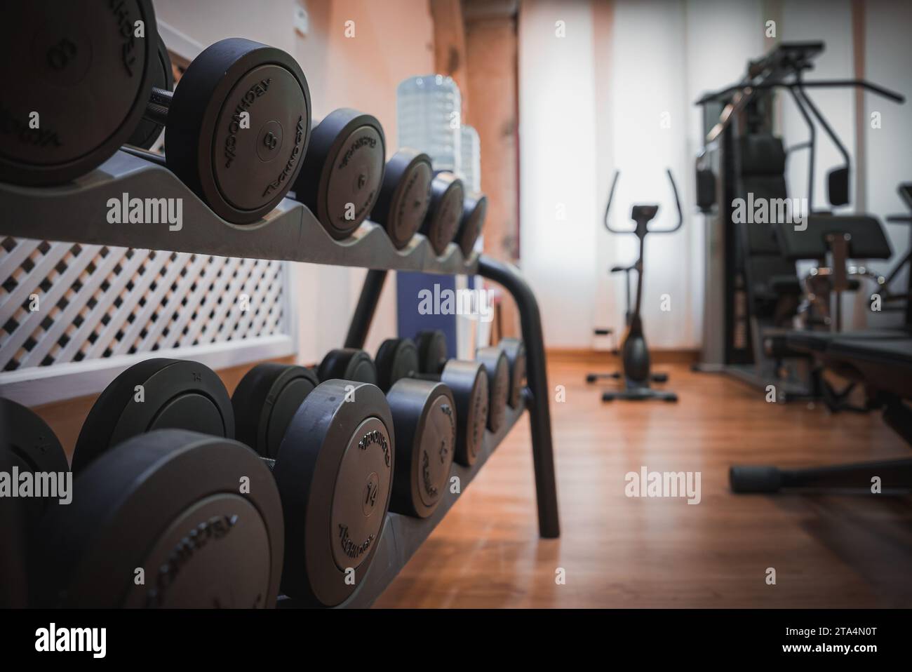 Modern Gym Room with Dumbbells and Exercise Equipment for Strength ...