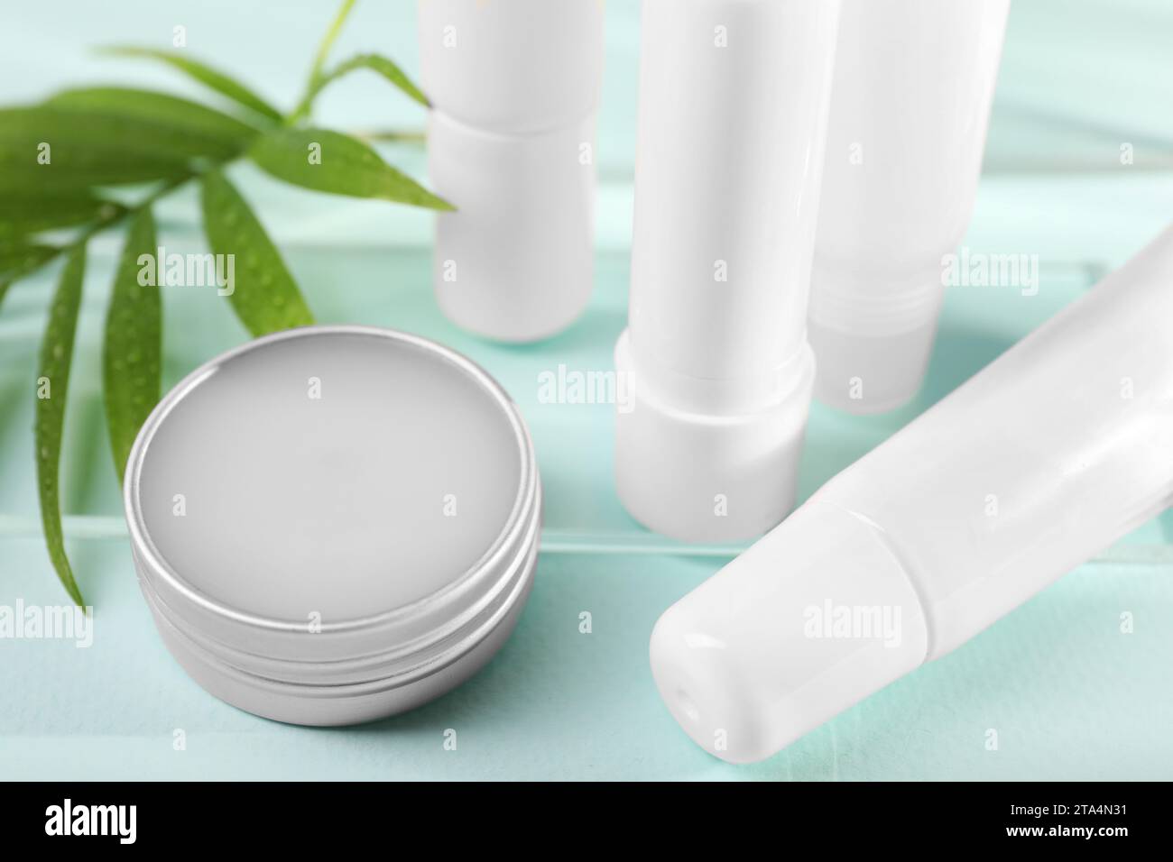 Different lip balms and palm leaf on light blue background, closeup ...