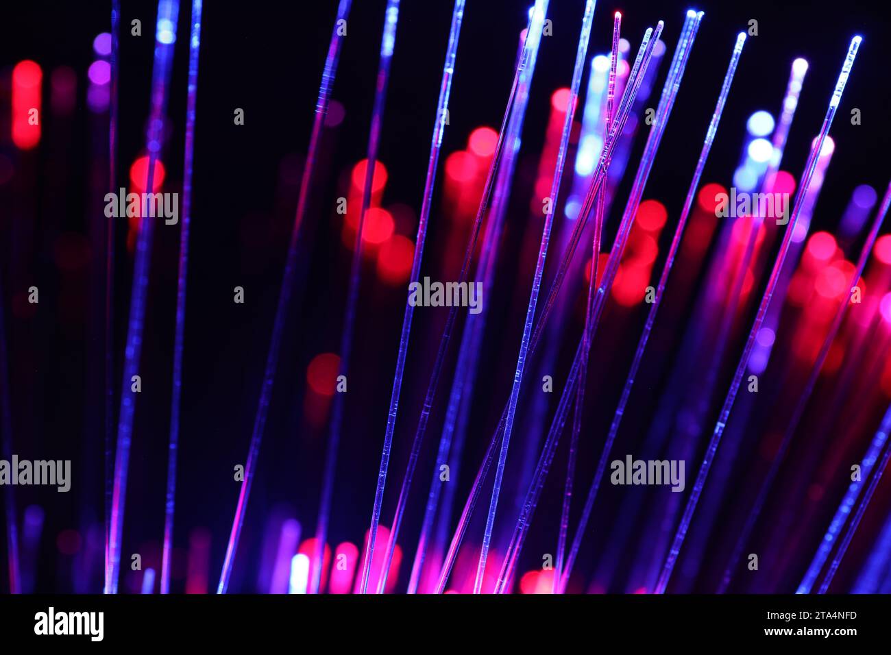 Optical fiber strands transmitting different color lights on black ...