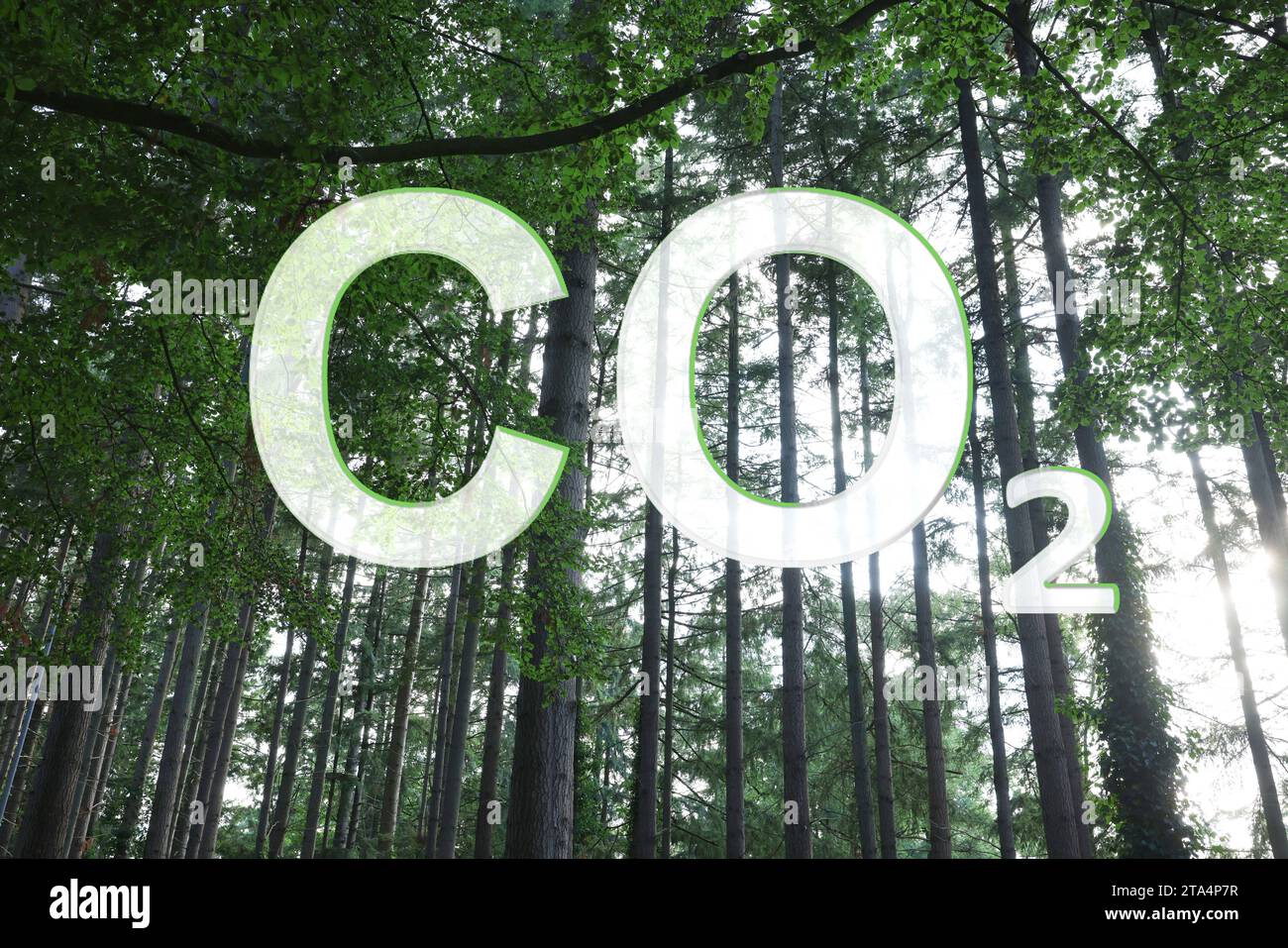 Concept of clear air. CO2 inscription and beautiful green trees, low ...