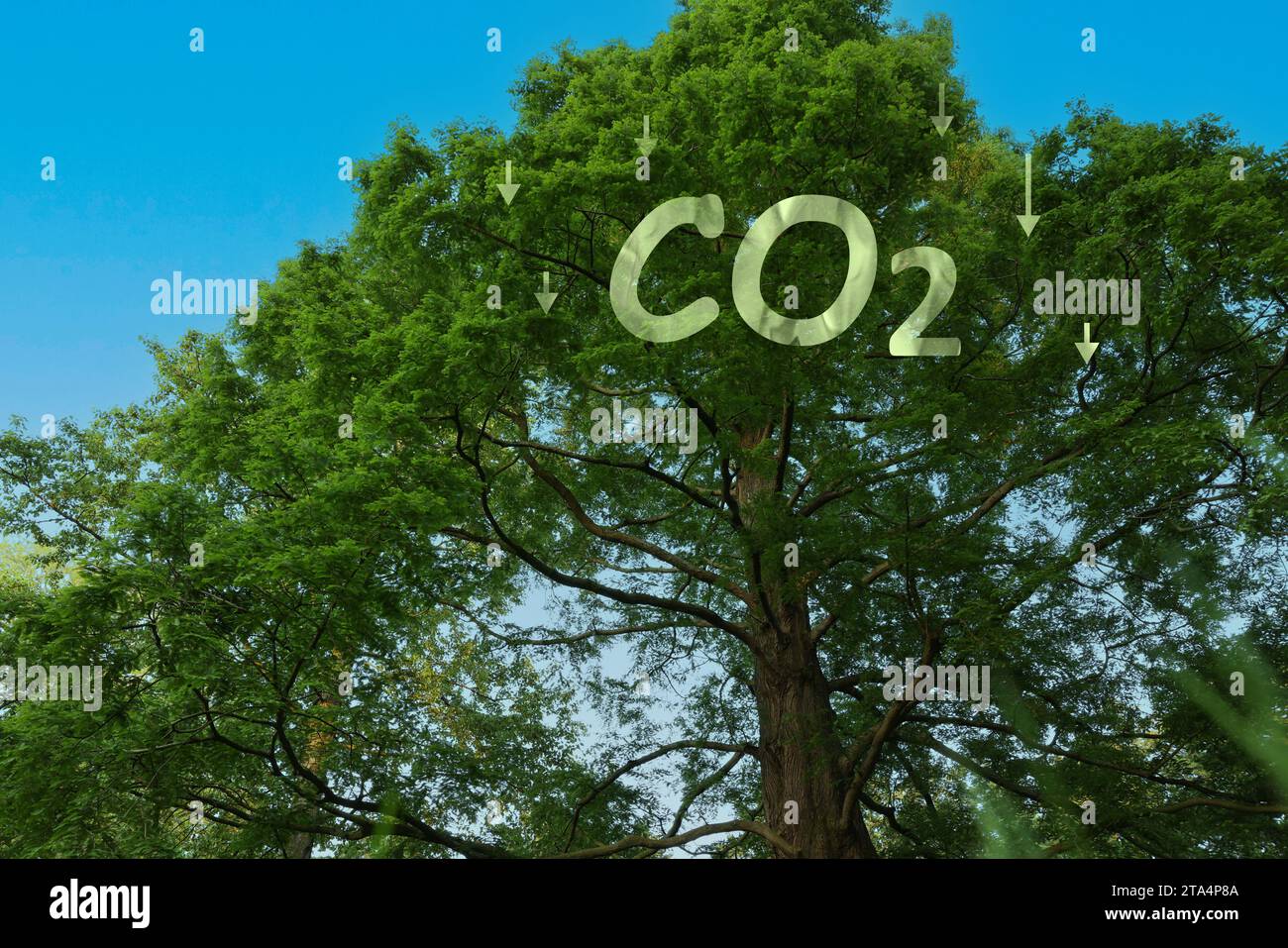 Reduce CO2 emissions. CO2 inscription with arrows and beautiful green ...