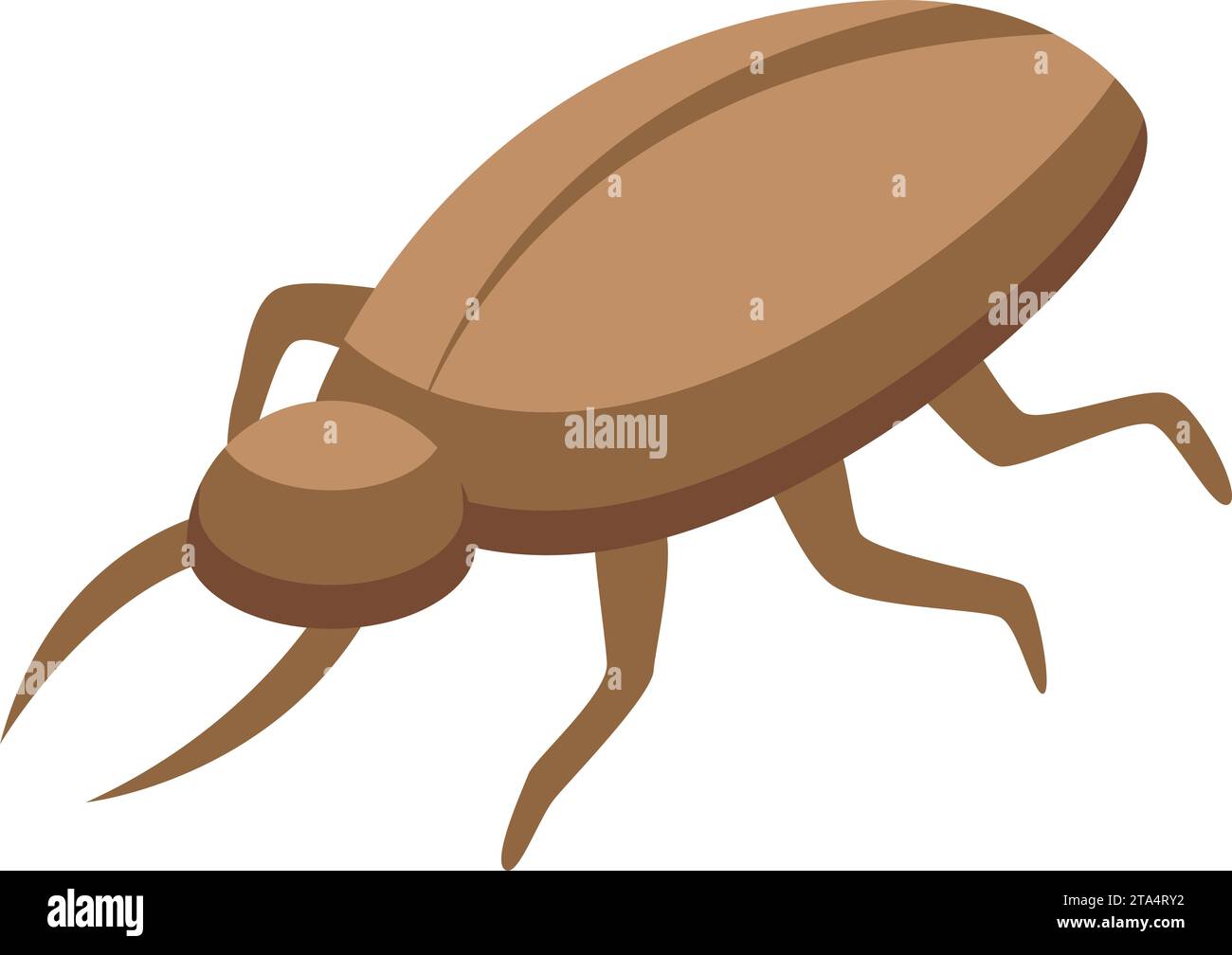 Bug insect icon isometric vector. Pupa transformation. Moth biology bug ...