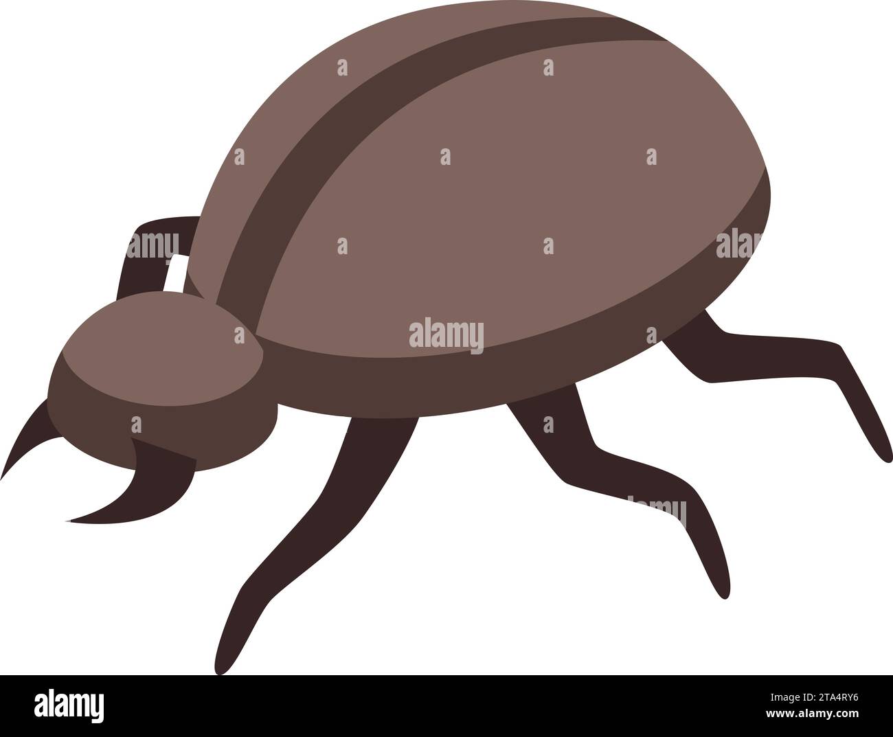 Bug insect icon isometric vector. Stage pupation silk. Form change life ...