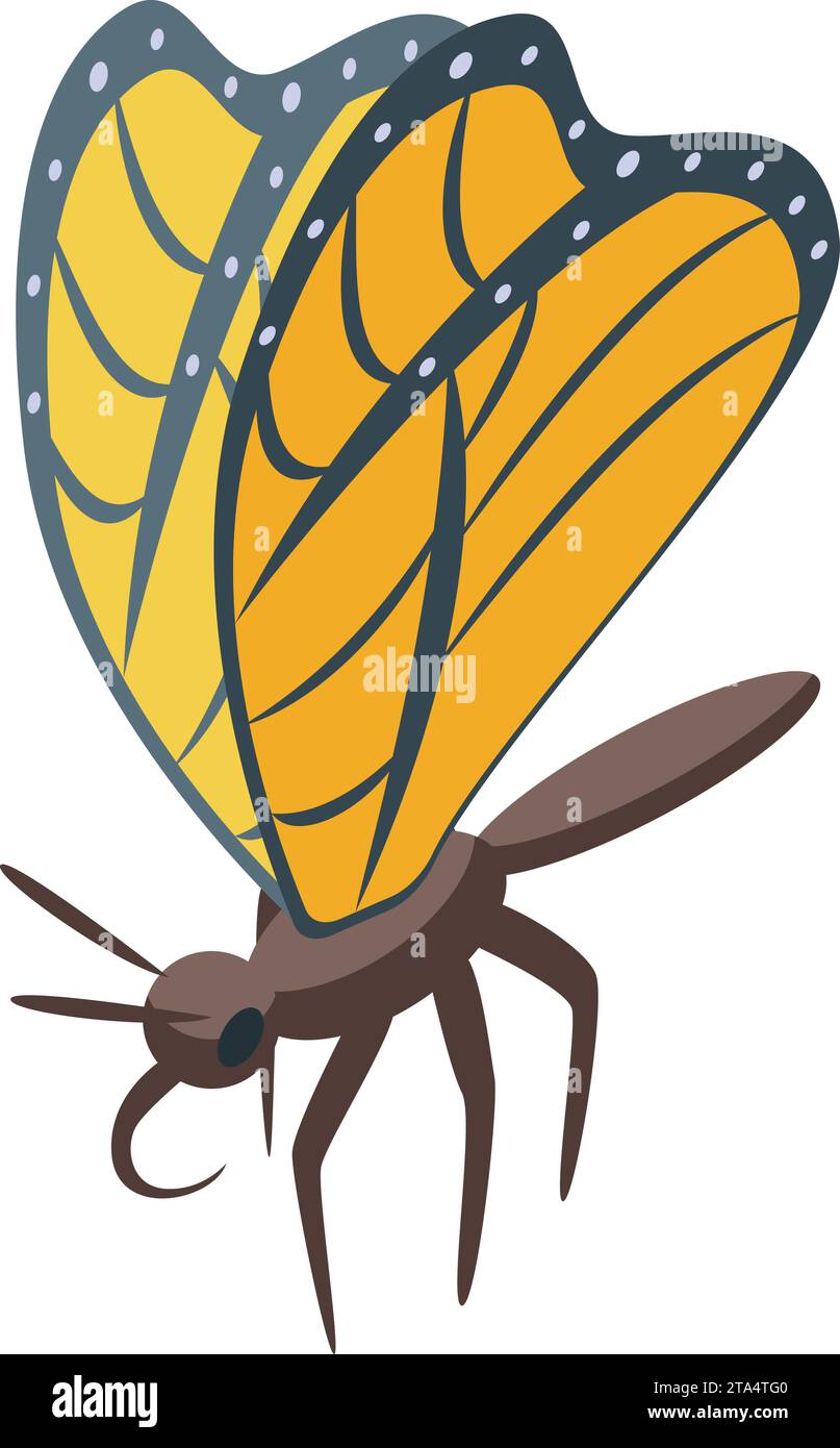Butterfly insect icon isometric vector. Caterpillar pupa cycle. Biology ...
