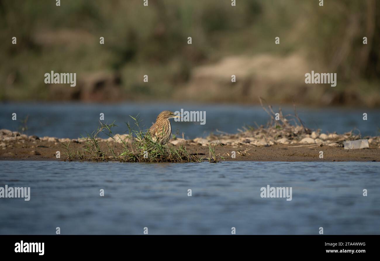 Sand bar in a river hi-res stock photography and images - Alamy