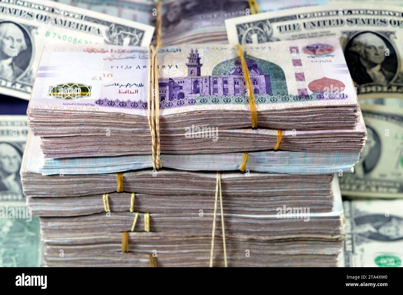 Stacks of Egypt money banknote bills EGP LE thousands of Pounds ...