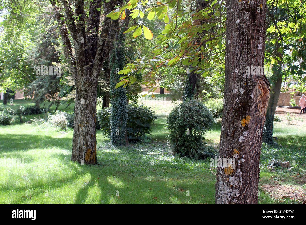 Ifrane lake hi-res stock photography and images - Alamy