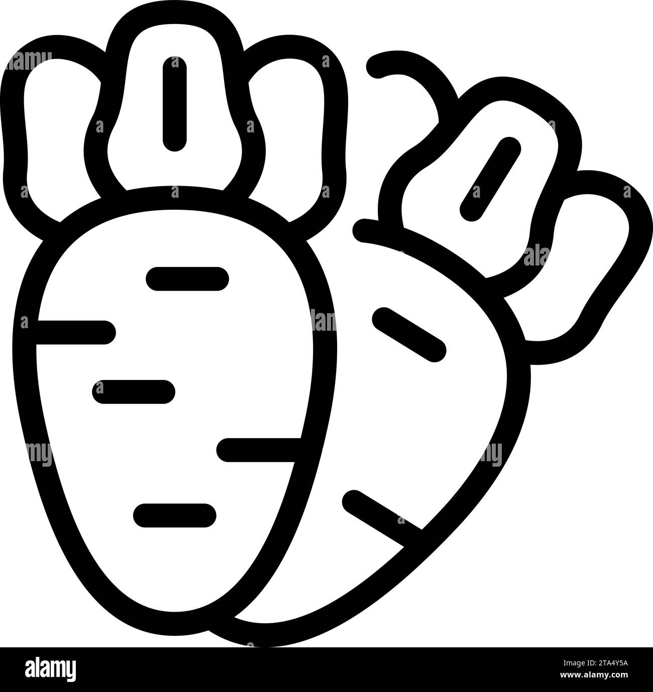 Nourishing radish icon outline vector. Garnish vitamin daikon. Detox ...