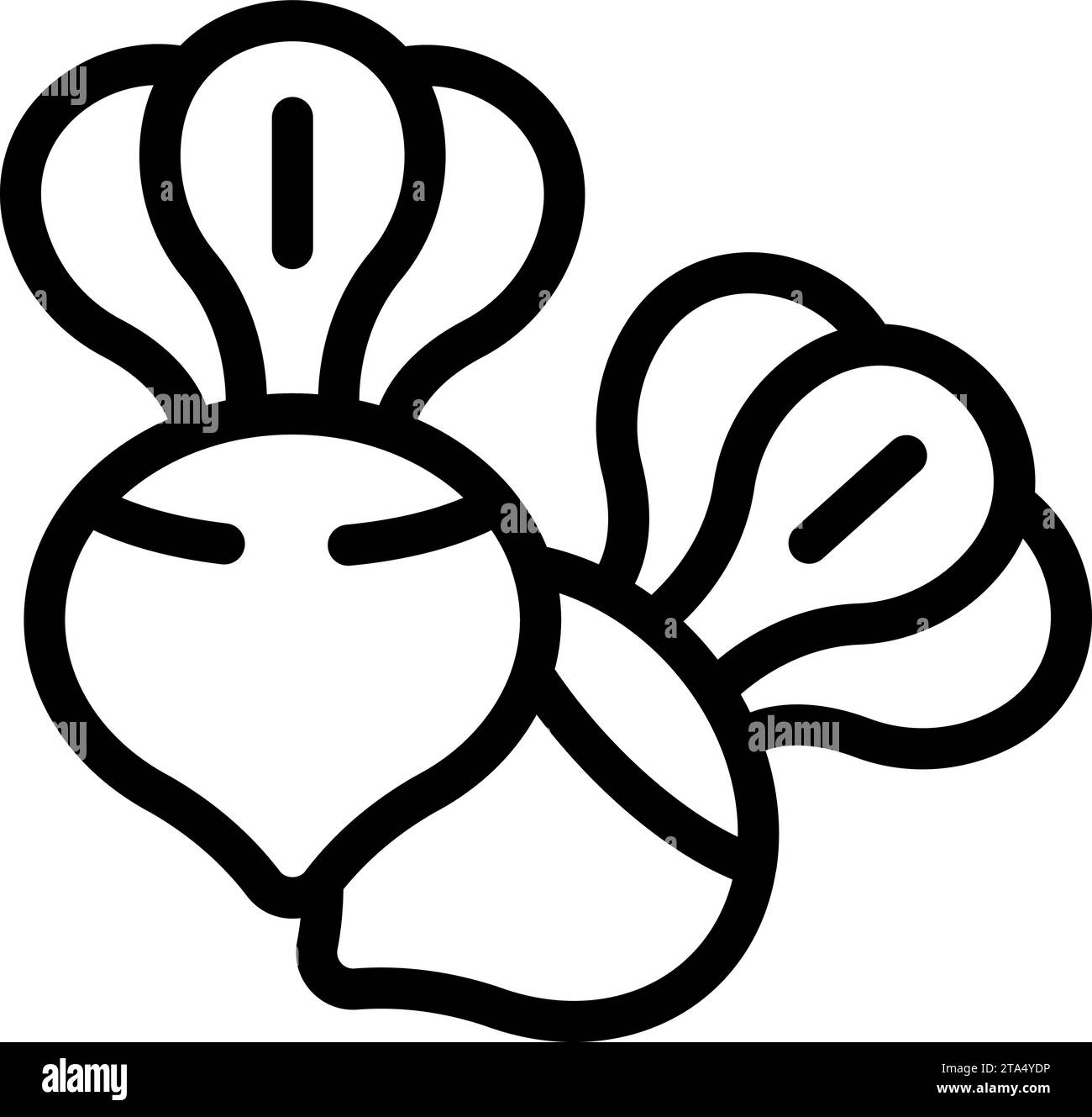 Vegetarian radish crop icon outline vector. Dietary detox food. Organic ...