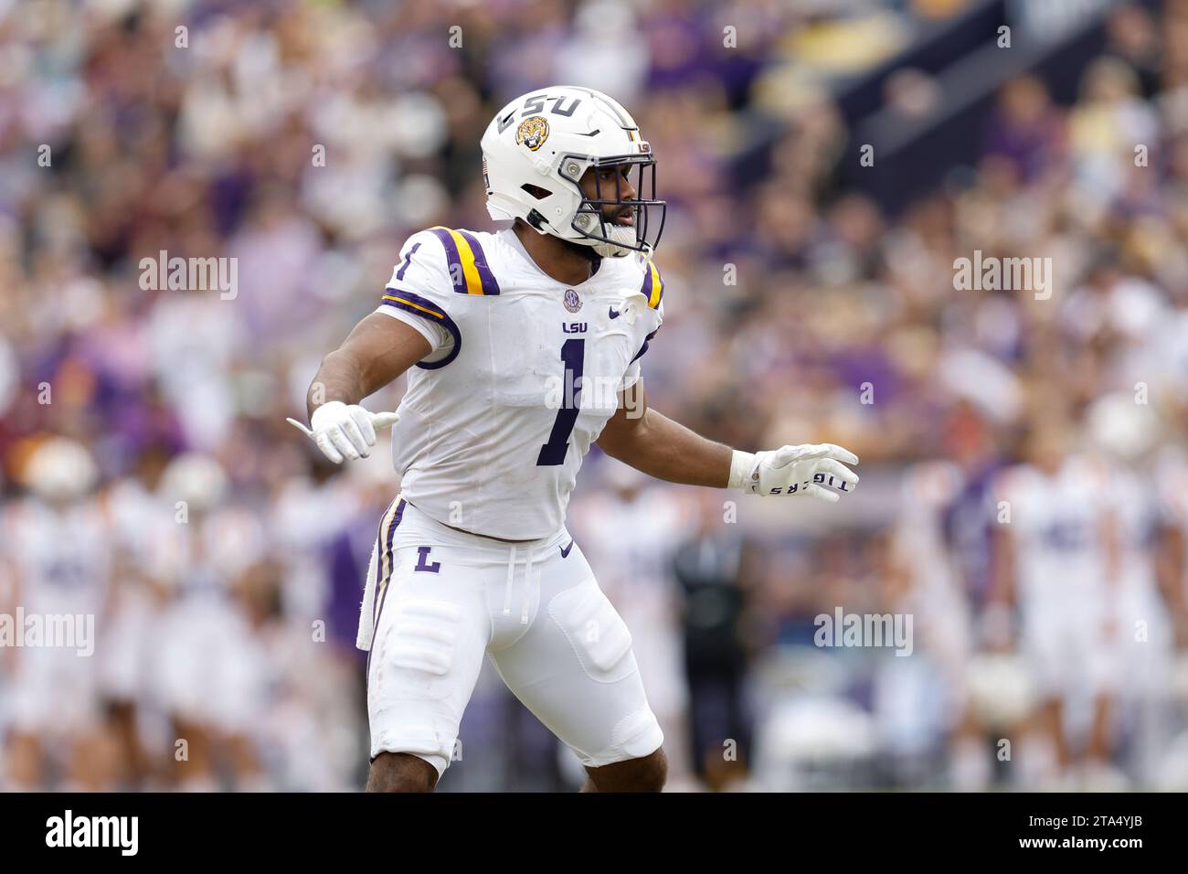 LSU linebacker Omar Speights (1) looks to defend during an NCAA college ...