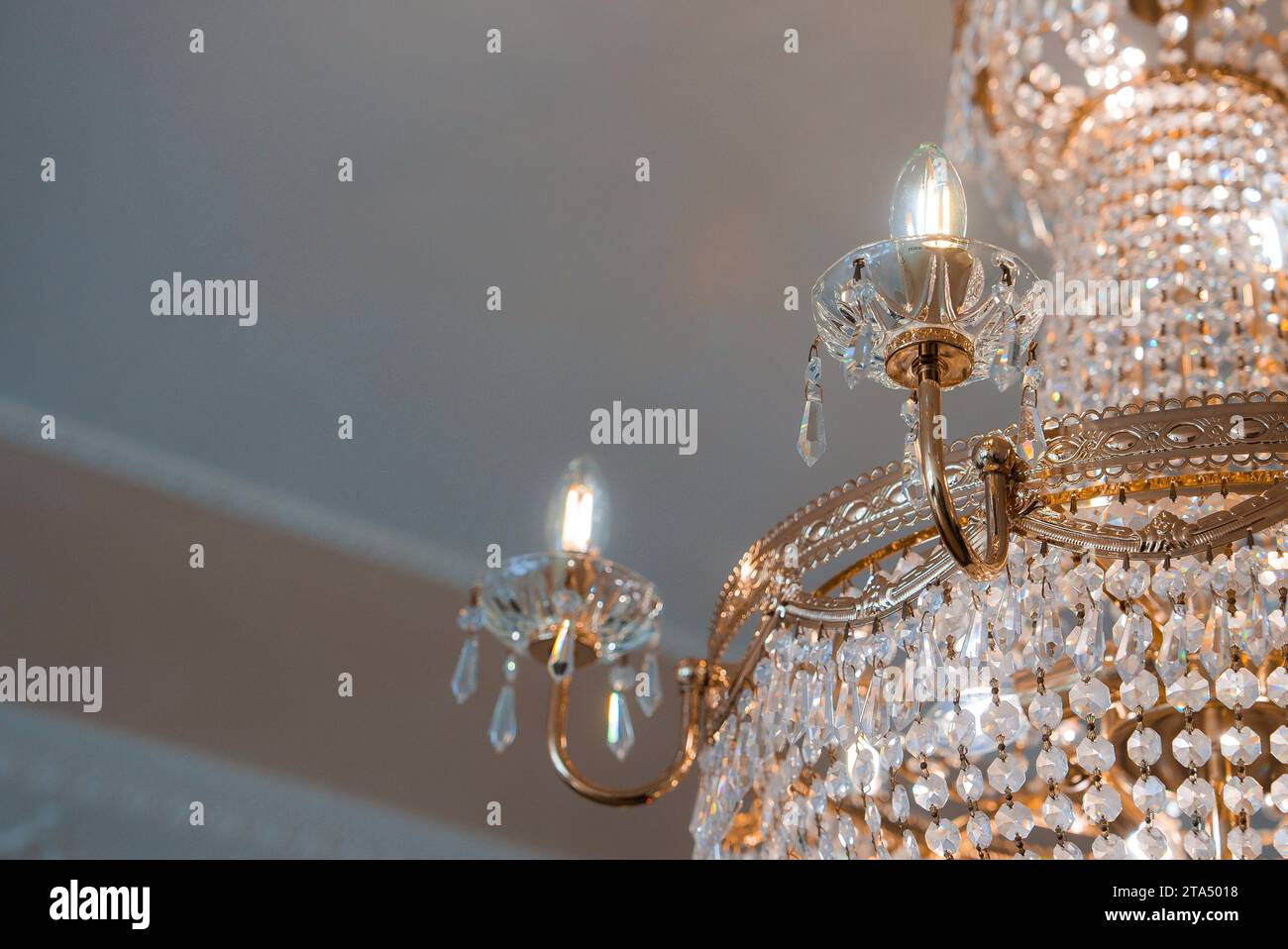 Opulent Venetian-style gold chandelier as the focal point in an elegant ...