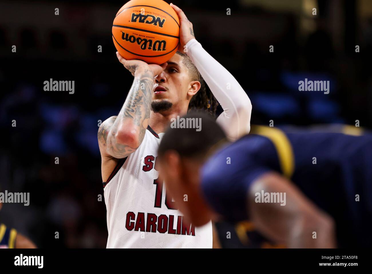 COLUMBIA, SC - NOVEMBER 28: Myles Stute #10 of the South Carolina ...