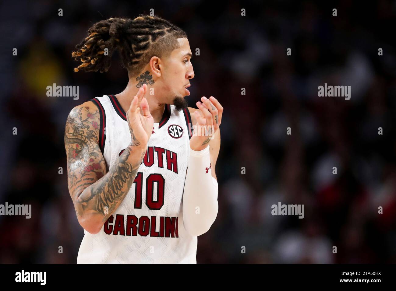COLUMBIA, SC - NOVEMBER 28: Myles Stute #10 of the South Carolina ...