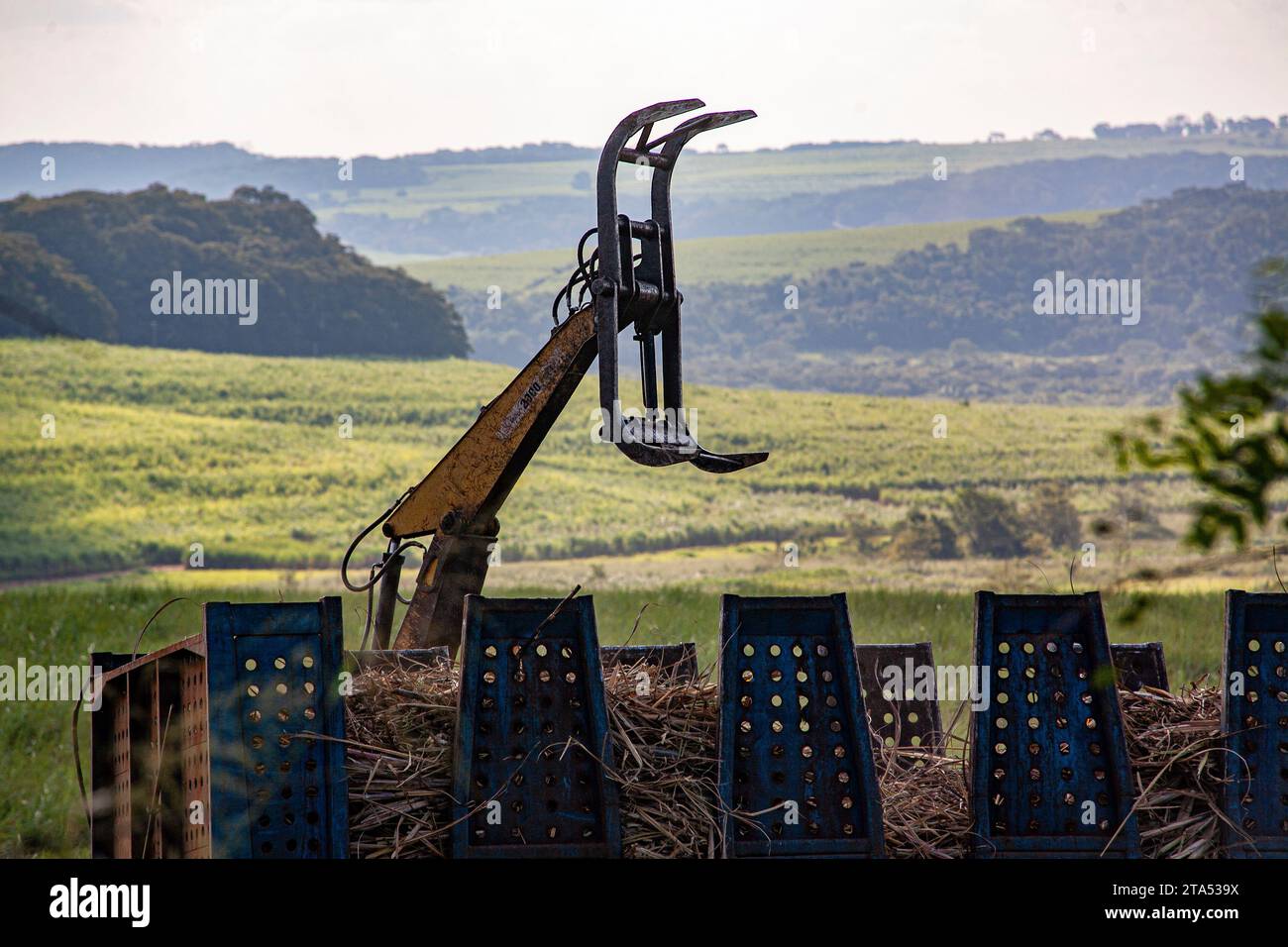 Sugar cane grabber hi-res stock photography and images - Alamy