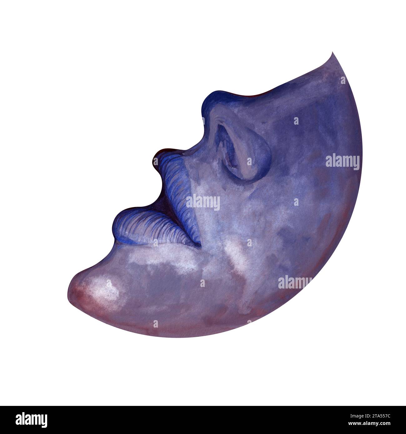 Watercolor moon and crescents with the outlines of a tender romantic ...